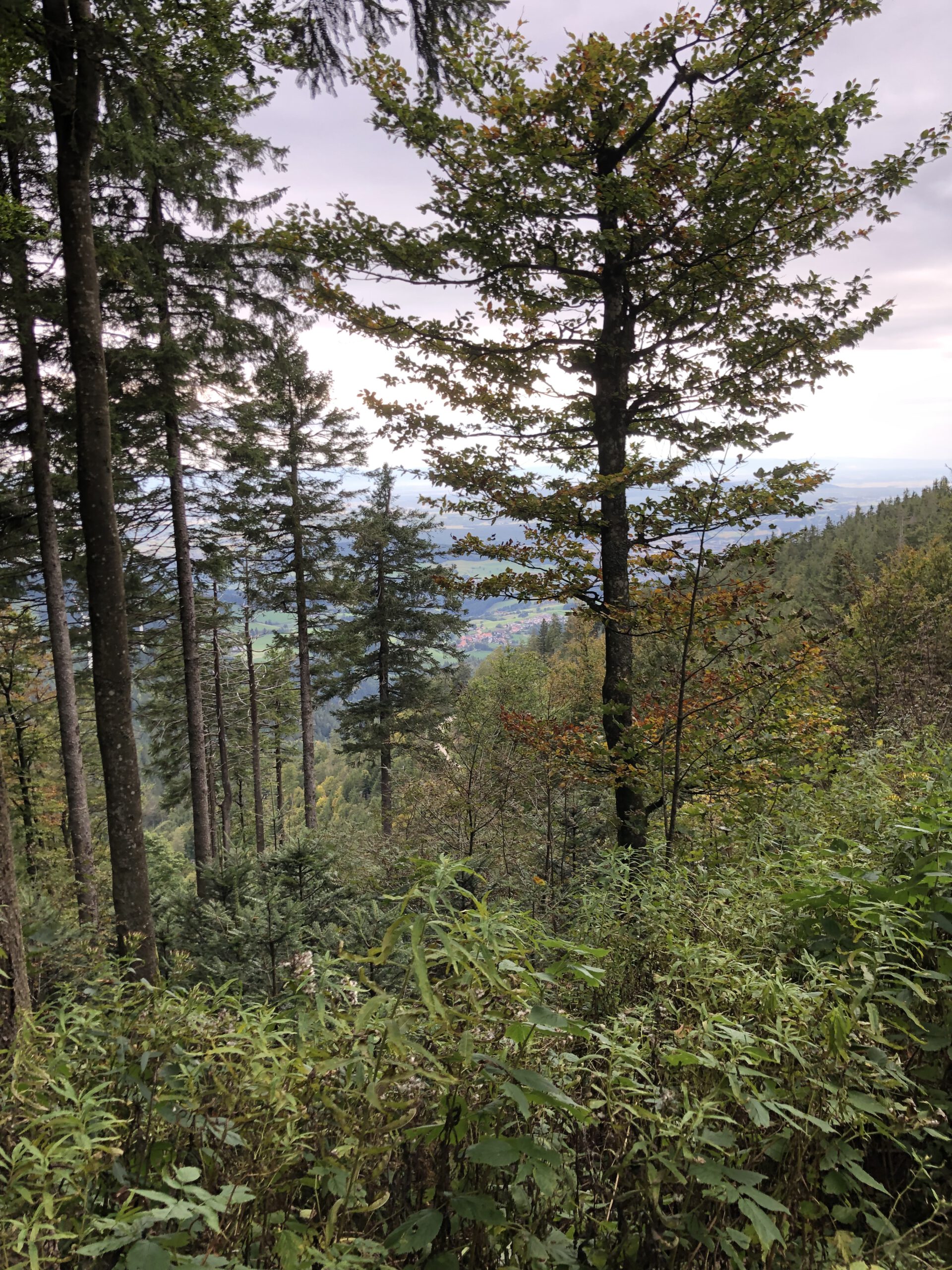 Resilienz im Unternehmen fördern? Die verkannte Chance? - Scheitweiler GmbH Blog